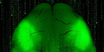 Faculty Research | Neuroscience Program | UIUC